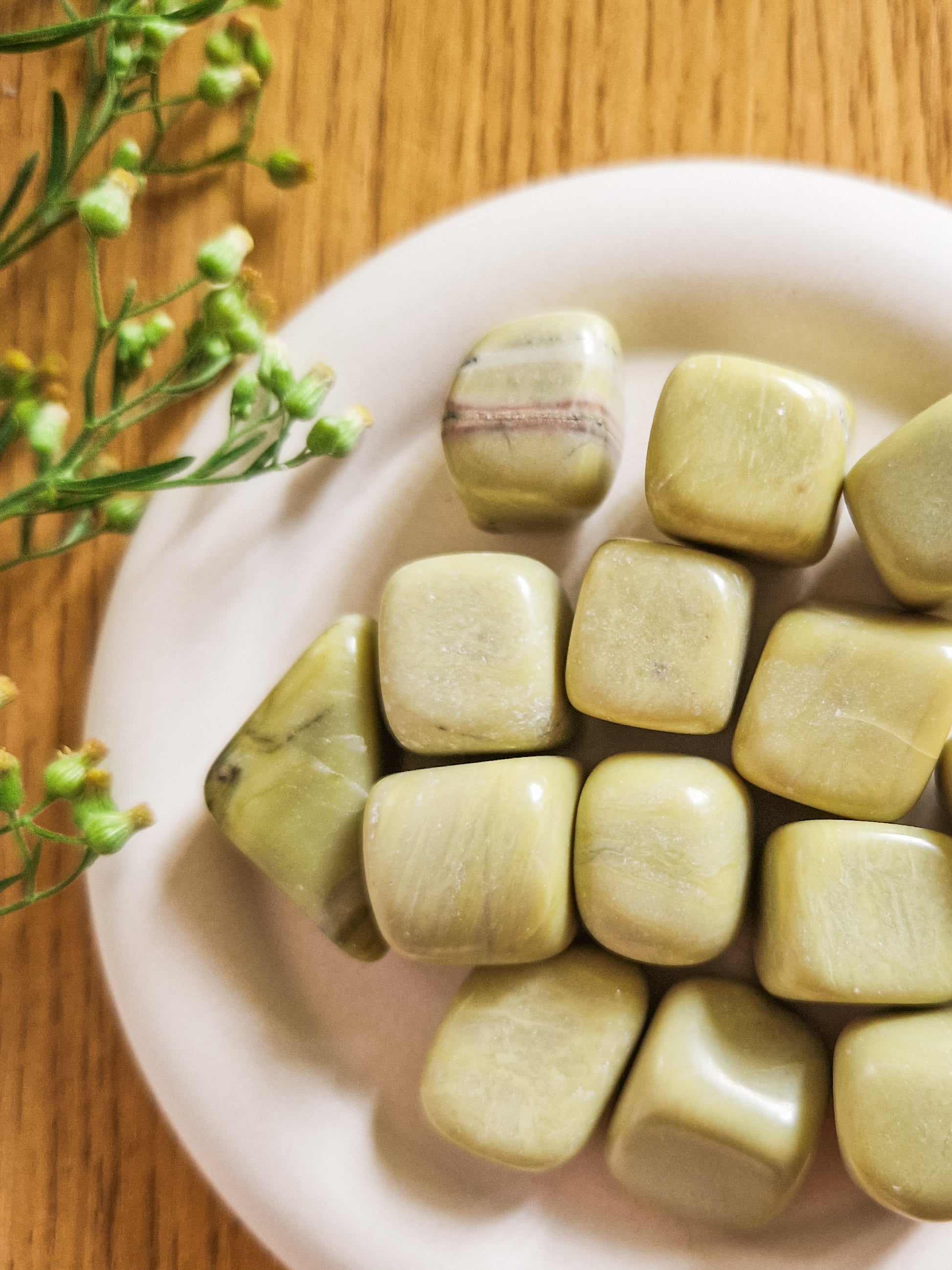 Olive Jade – Alma Davina
